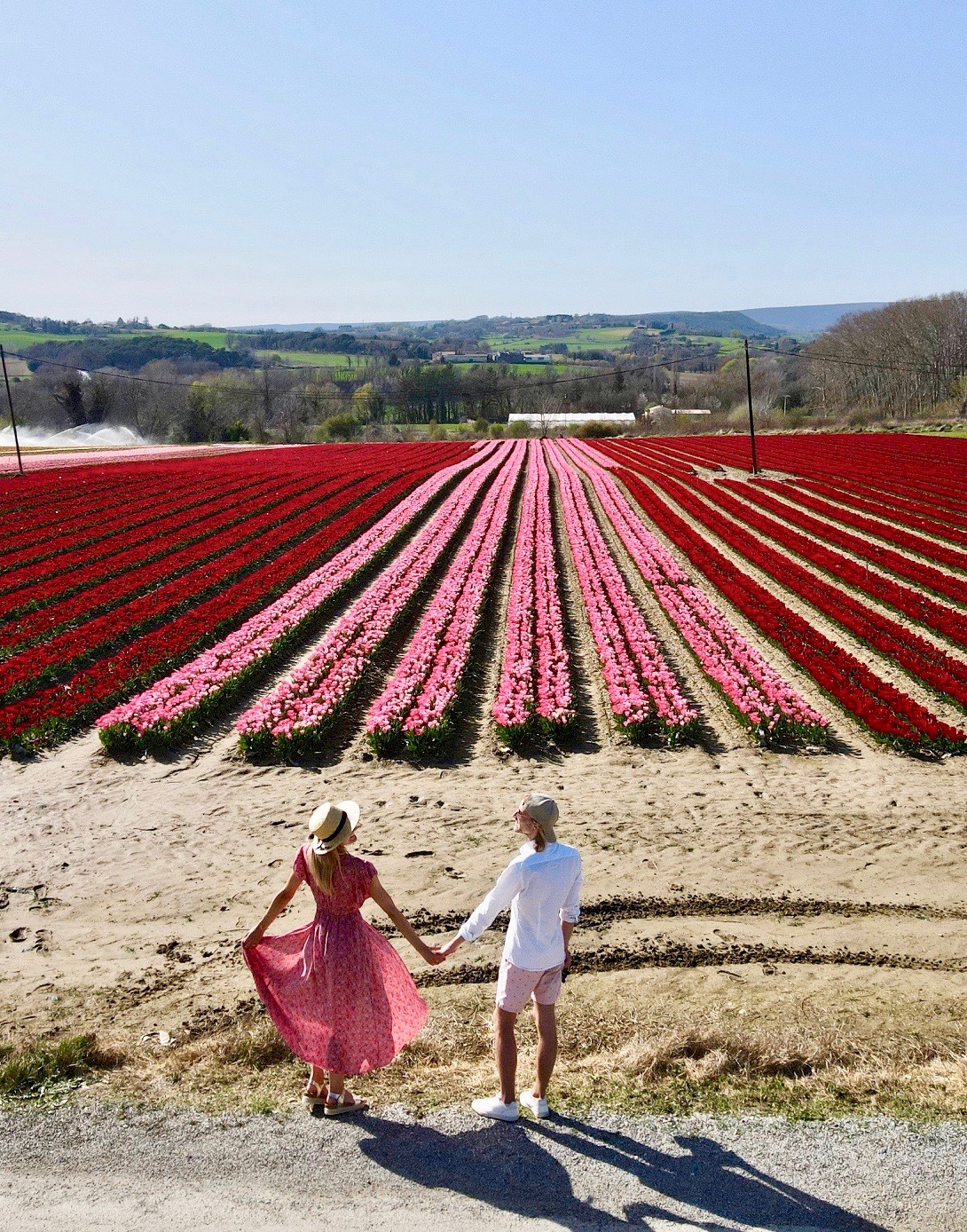 Des champs de tulipes en Provence - Judith Voyage