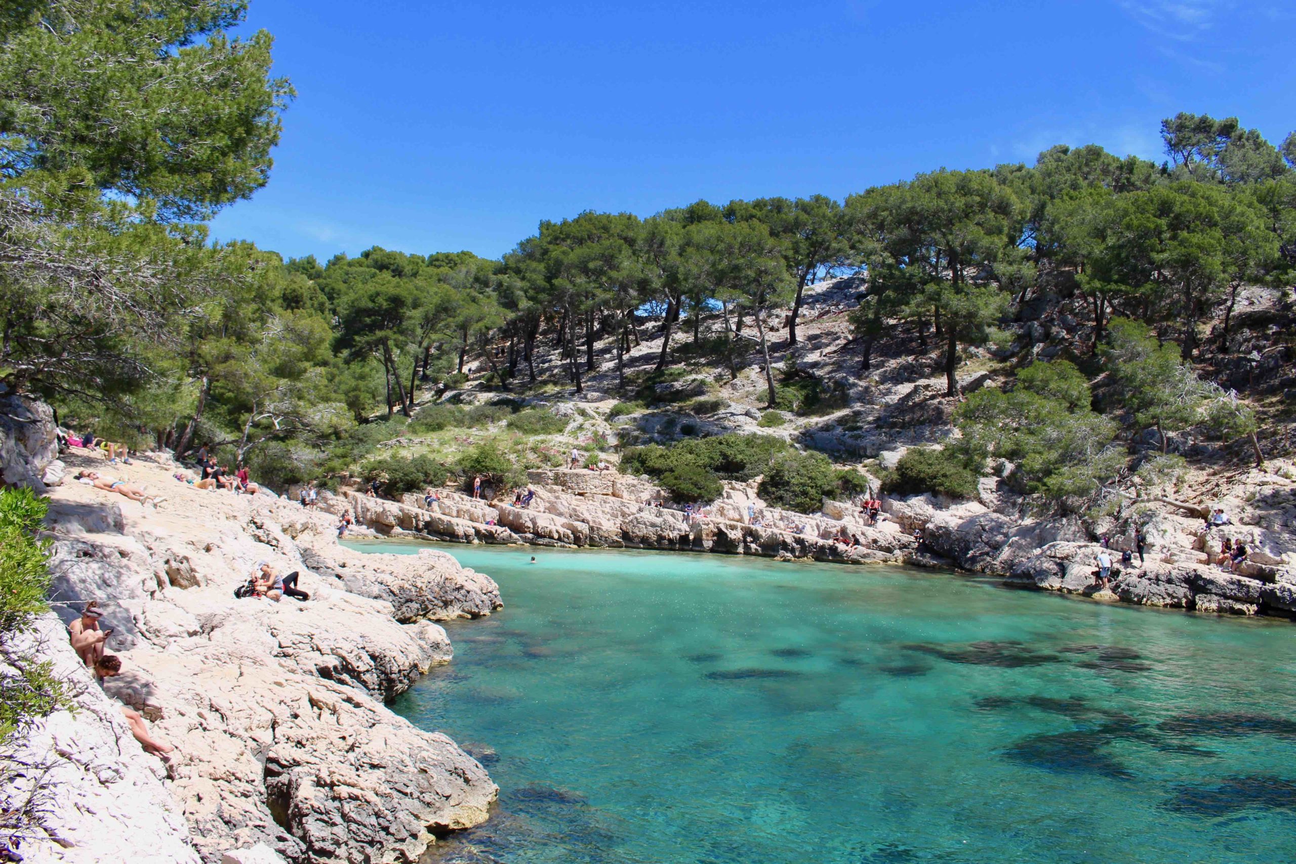 Cassis : son port, ses plages et ses Calanques - Judith Voyage